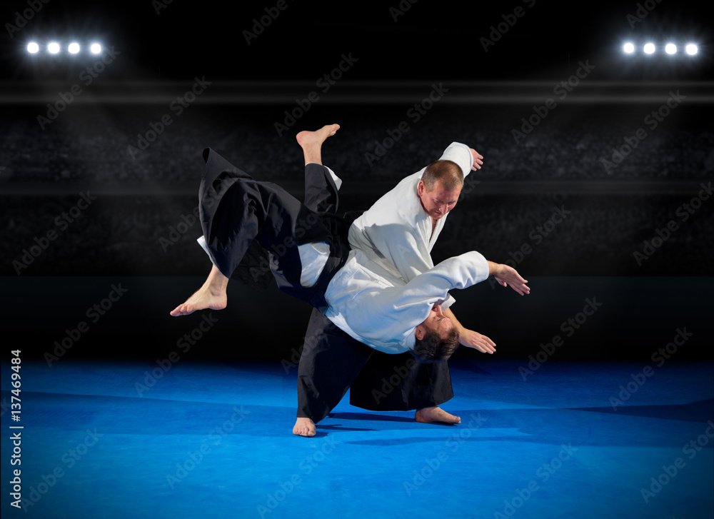 Martial arts fighters Stock Photo | Adobe Stock