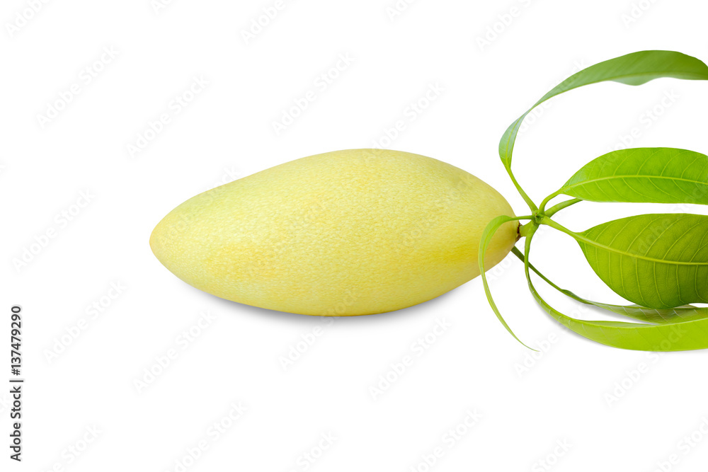 Closeup ripe single mango isolated on white background. Stock Photo ...
