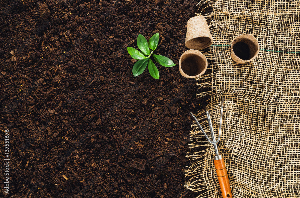 Gardening tools on fertile soil texture background seen from above, top ...