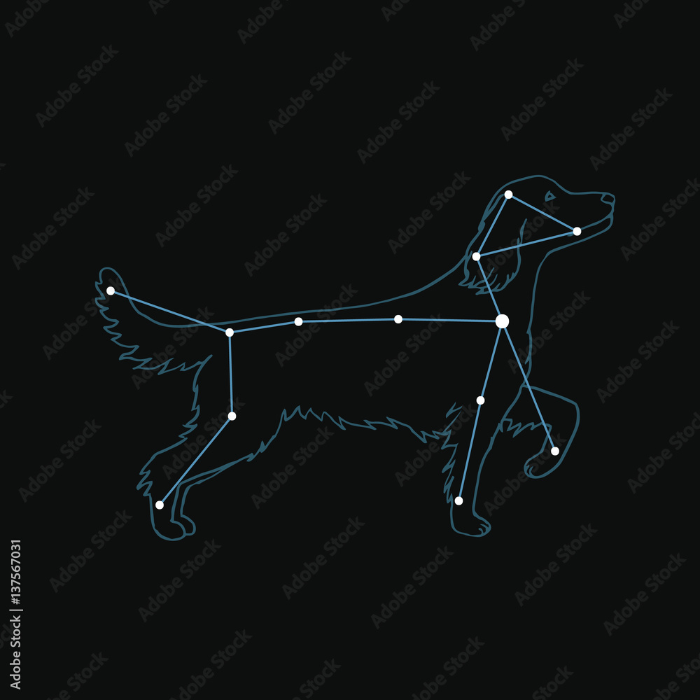 Canis Major Dog