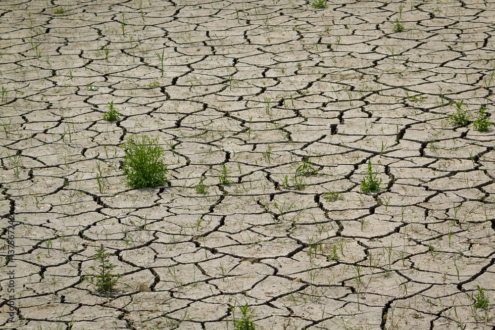Sècheresse, aridité et irrigation Stock Photo | Adobe Stock