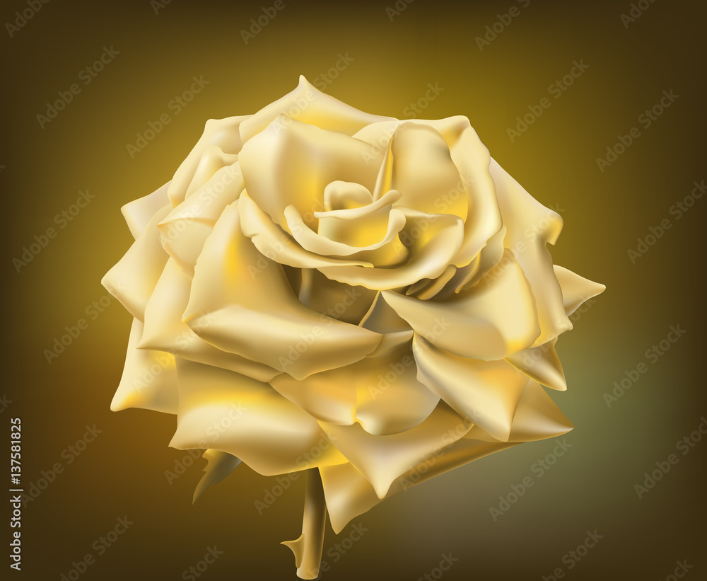 Gold Rose. Hand drawn vector illustration of an open rose with glowing ...