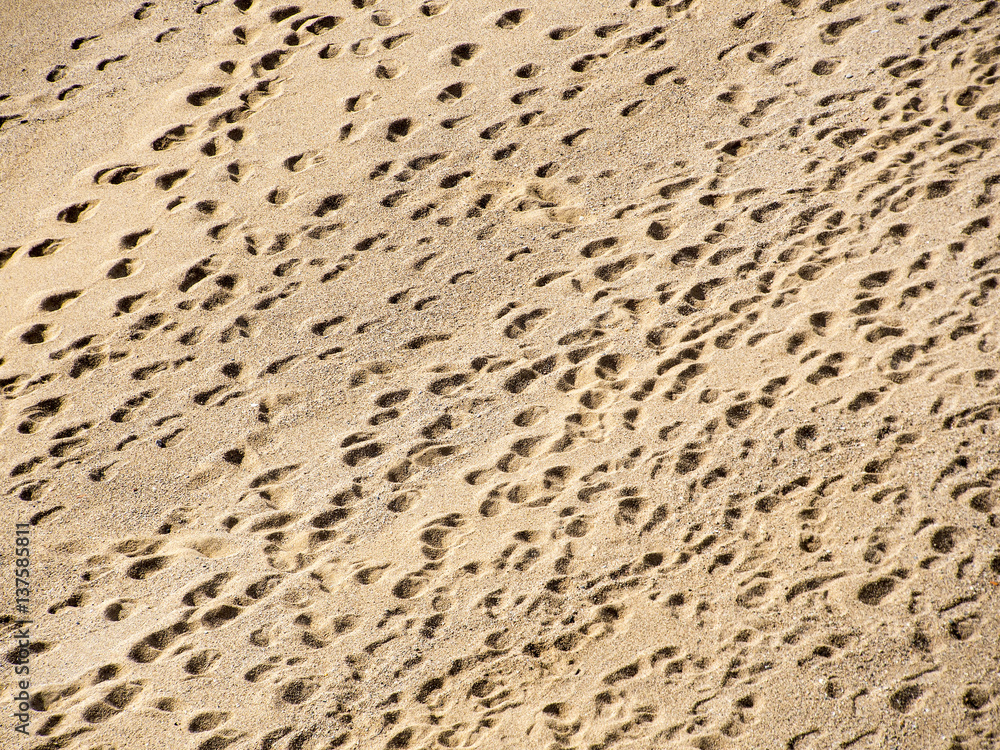 Huellas de pisadas en la arena de una playa para fondos Stock Photo ...