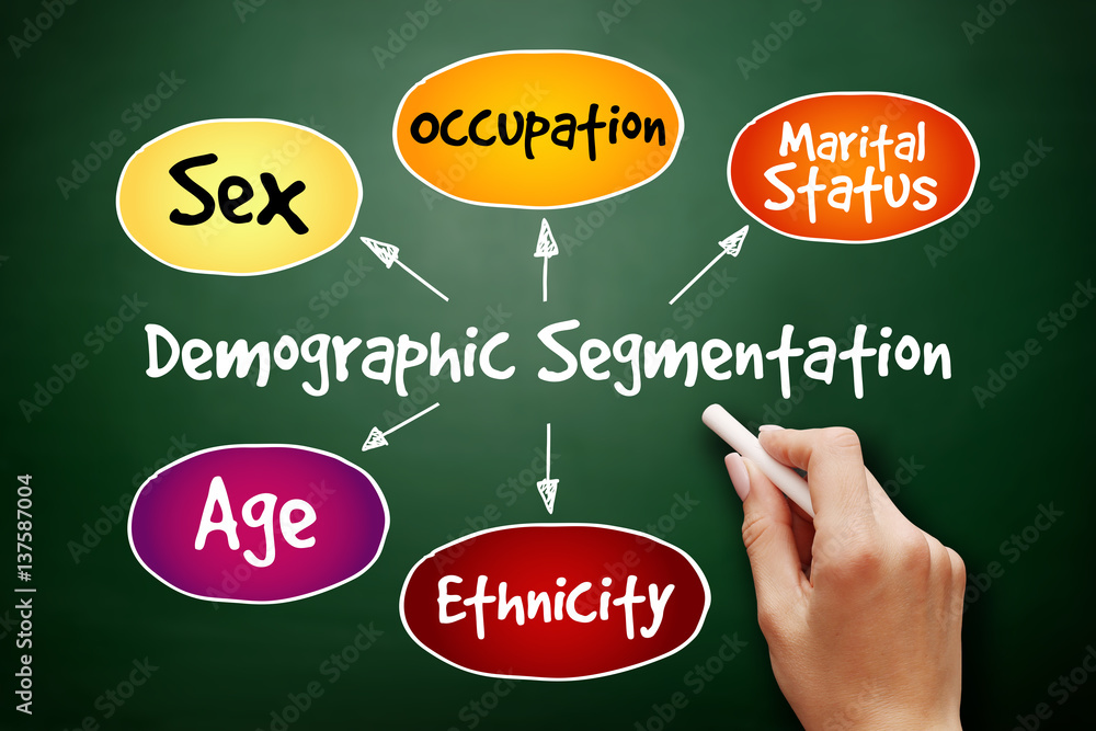 Demographic segmentation mind map flowchart social business concept for ...