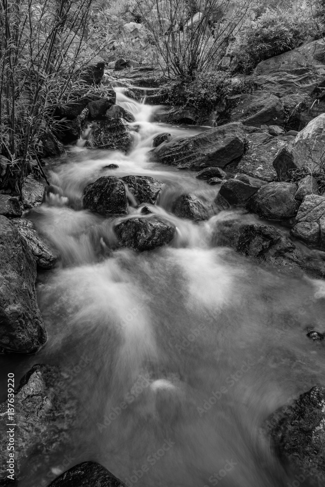 A black and white river scene with large boulders and lush vegetation ...