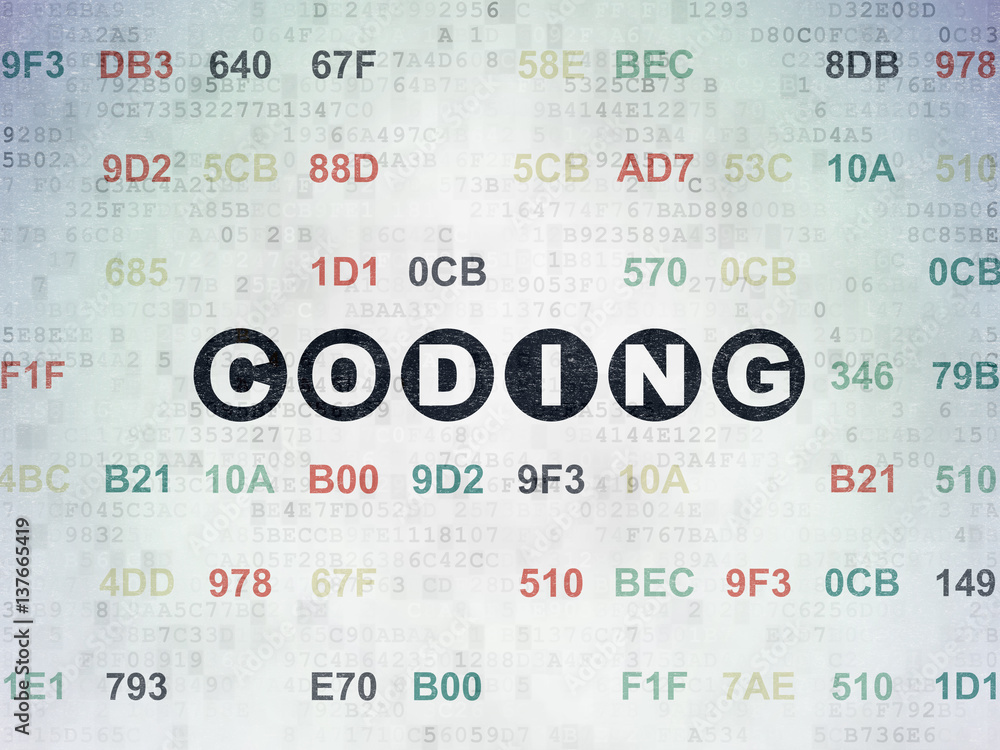 Illustrazione Stock Programming concept: Coding on Digital Data Paper ...