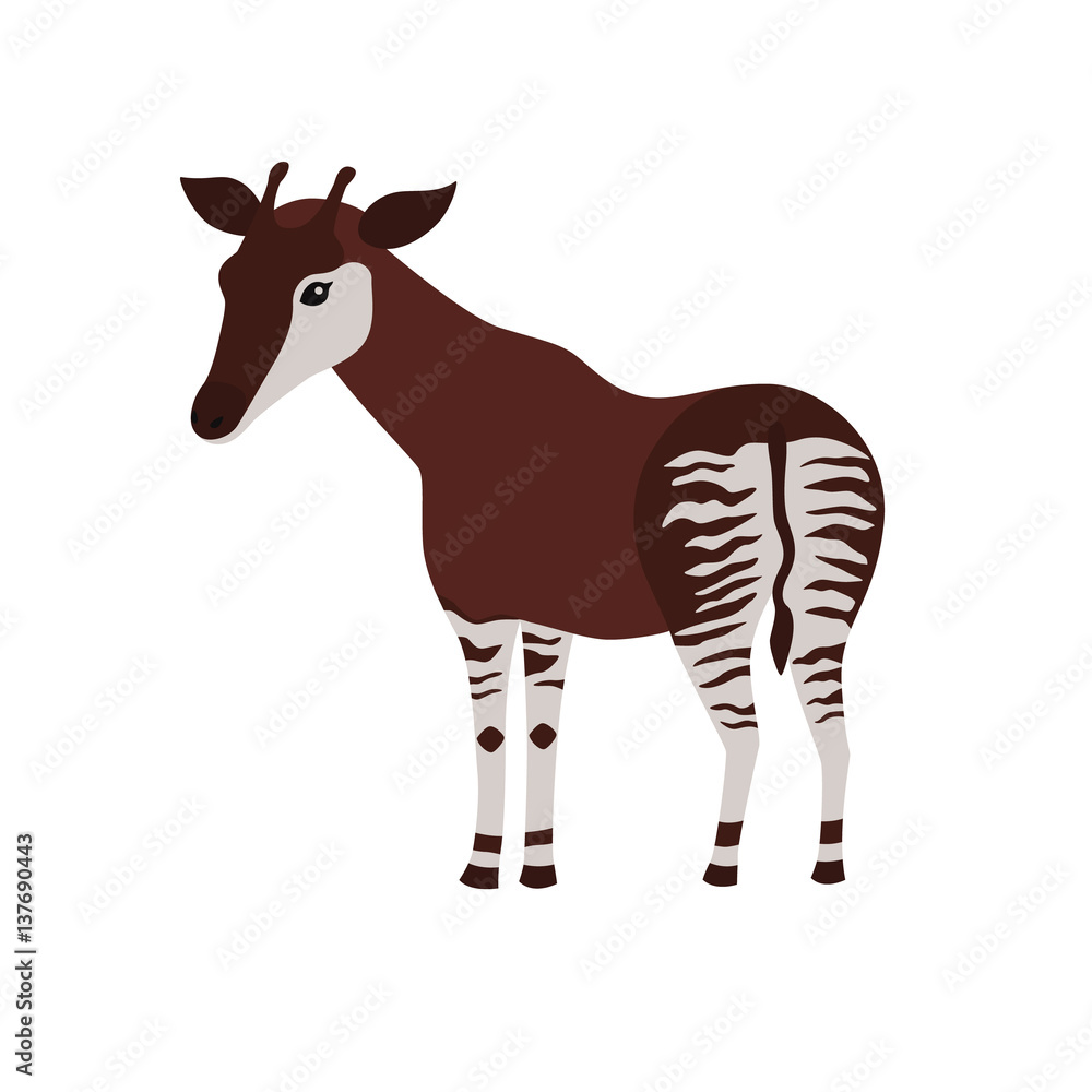 okapi cartoon isolated on white background Stock-Vektorgrafik | Adobe Stock