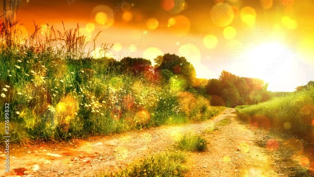 Country road with wild flowers at summer sunset. Nature background. 4K ...
