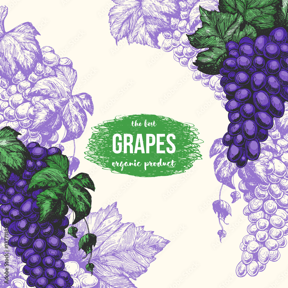 Grapes card design template. Hand drawn vector illustration. Wine shop ...