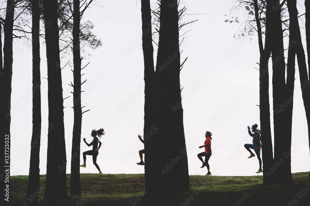 silhouette of athletes running in the forest. Stock Photo | Adobe Stock