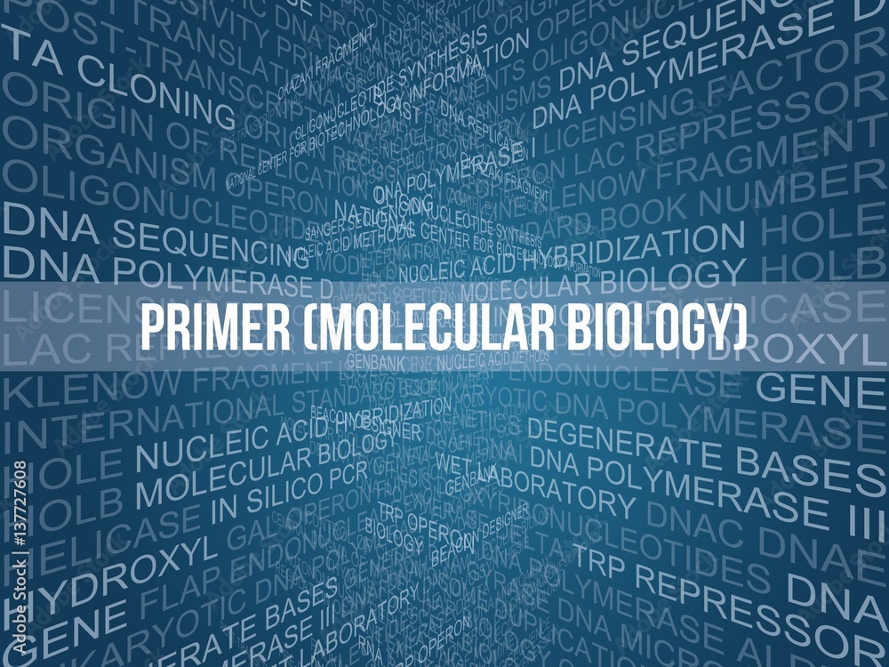Primer (molecular biology) Stock Illustration | Adobe Stock