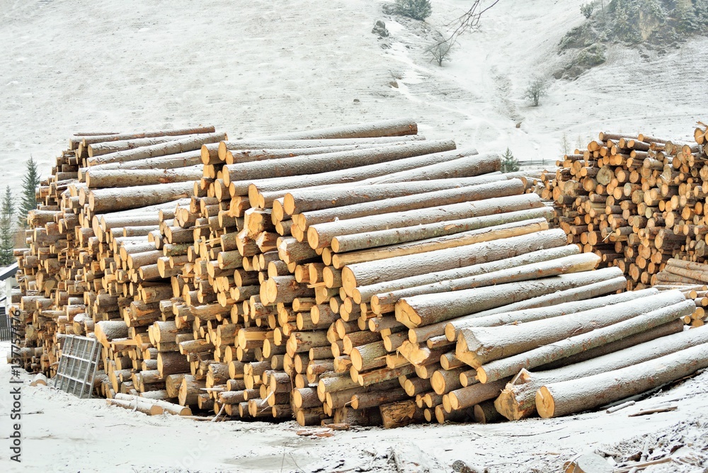 Exploitation of forests. The exploitation of natural resources is the ...