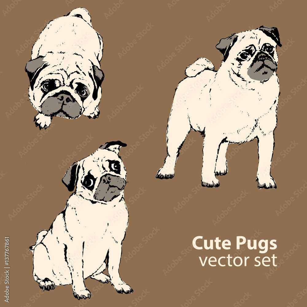 Cute pugs vector set Stock Vector | Adobe Stock