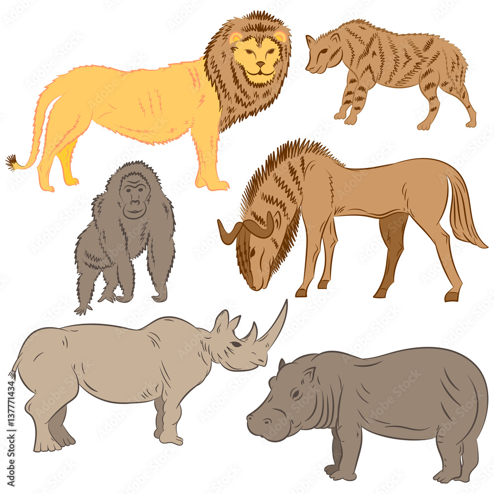 Hand Drawn African Wilde Animals. Doodle Drawings of Lion, Stripped ...