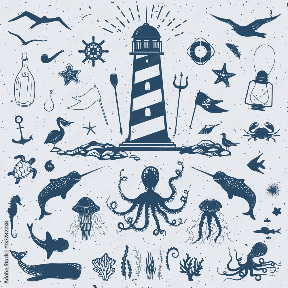 big vector set with marine creatures and nautical objects: seagulls ...