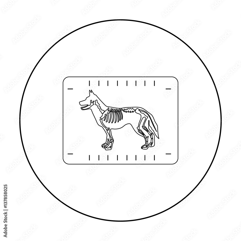Dog x-ray icon in outline style isolated on white background ...