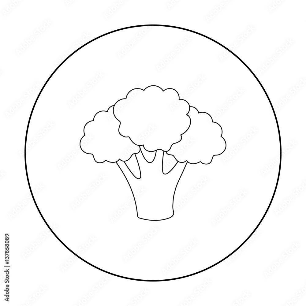 Broccoli Outline