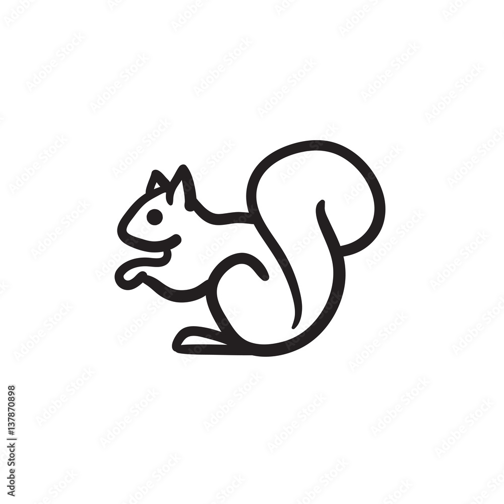 Squirrel sketch icon. Stock Vector | Adobe Stock