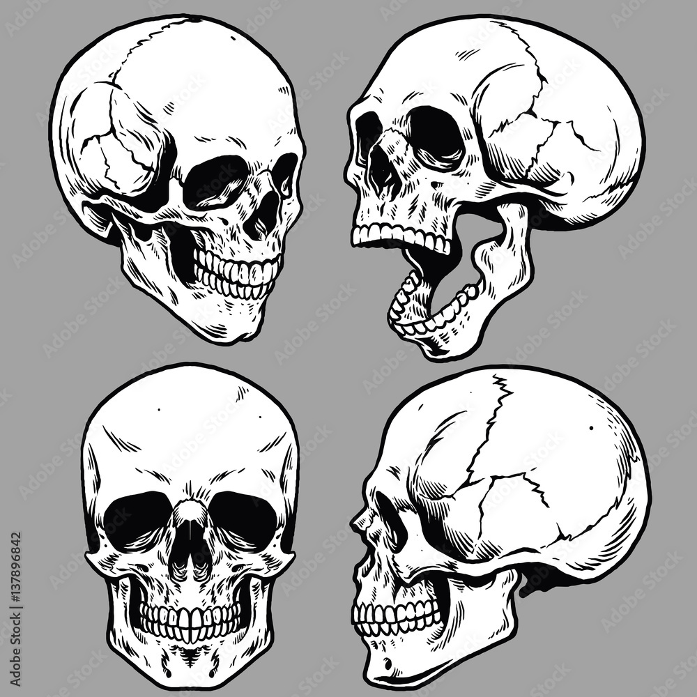 set of skull in hand drawing style Stock Vector | Adobe Stock