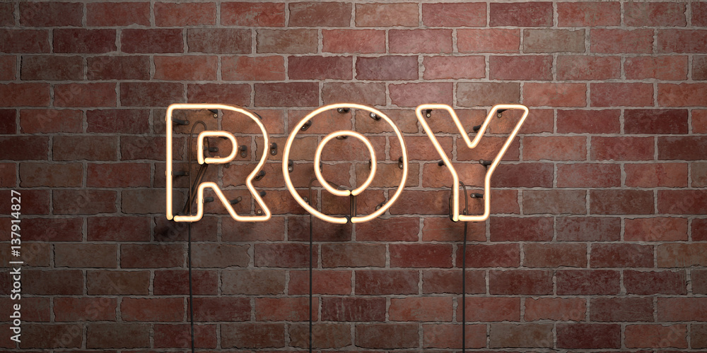 ROY - fluorescent Neon tube Sign on brickwork - Front view - 3D ...