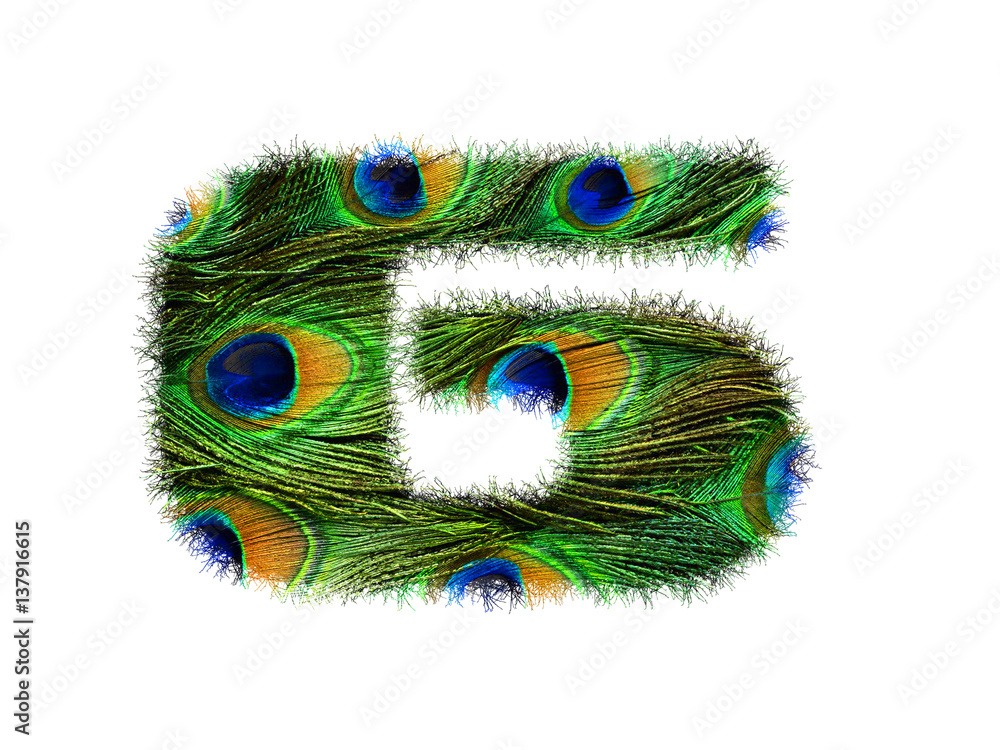 Peacock Feather Font