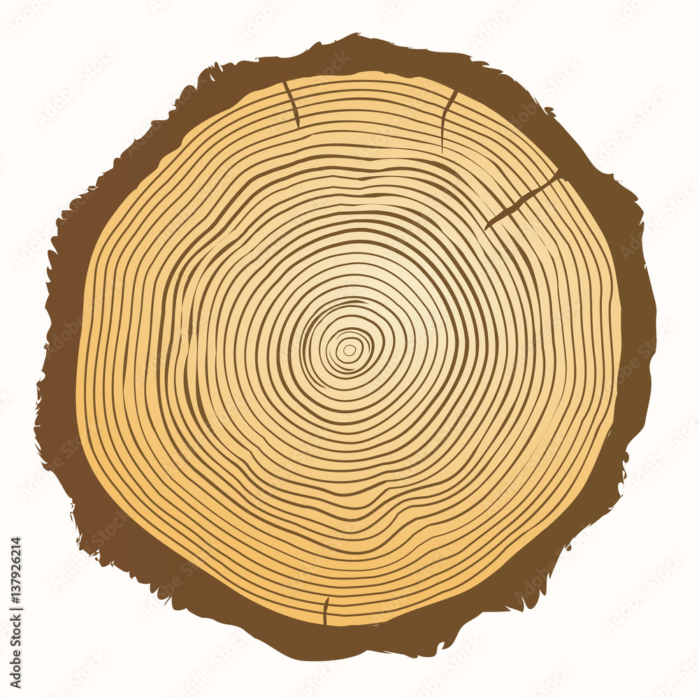 Tree Trunk Rings