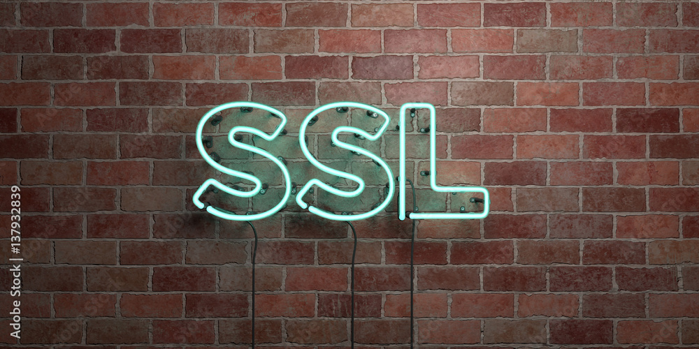 SSL - fluorescent Neon tube Sign on brickwork - Front view - 3D ...