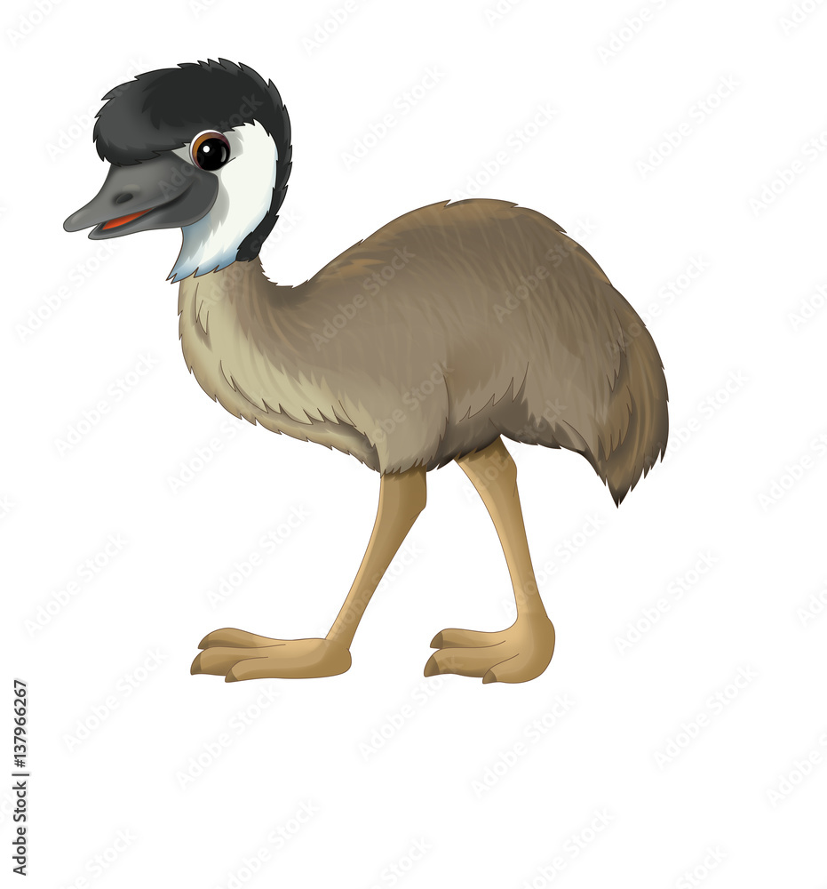 cartoon animal emu walking illustration for children Stock Illustration ...
