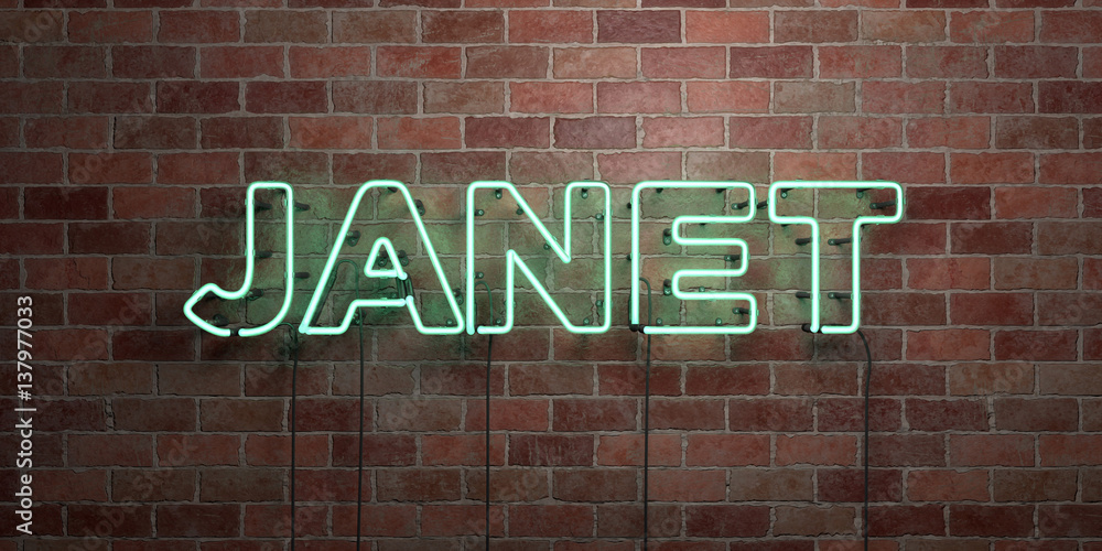 JANET - fluorescent Neon tube Sign on brickwork - Front view - 3D ...