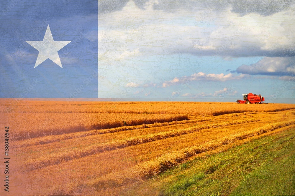 Chile agriculture, harvesting crops Stock Photo | Adobe Stock