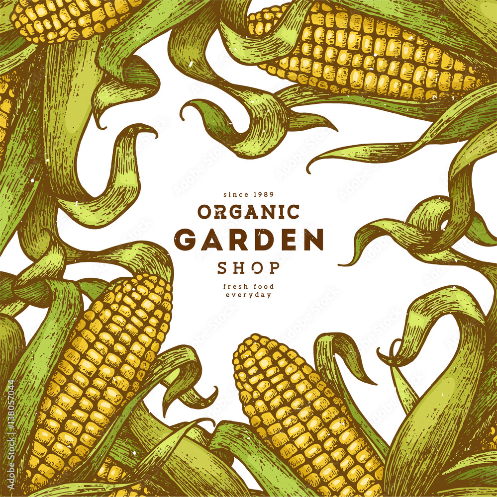 Corn On The Cob Template