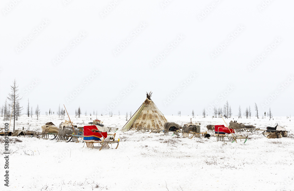 Camp of nomadic tribe in the polar tundra at a frosty day, chum, sled ...