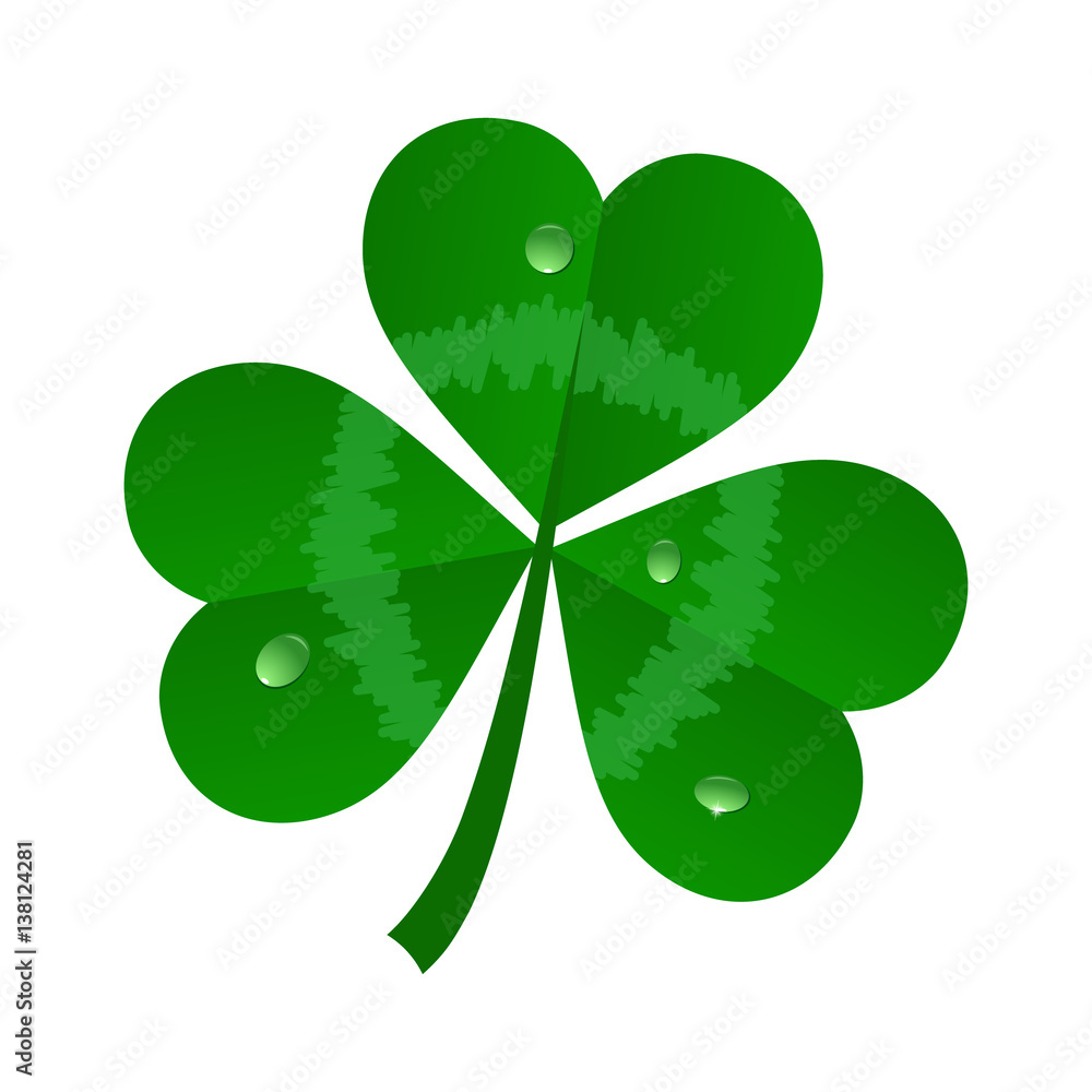 vector green realistick clover on white background Stock Vector | Adobe ...