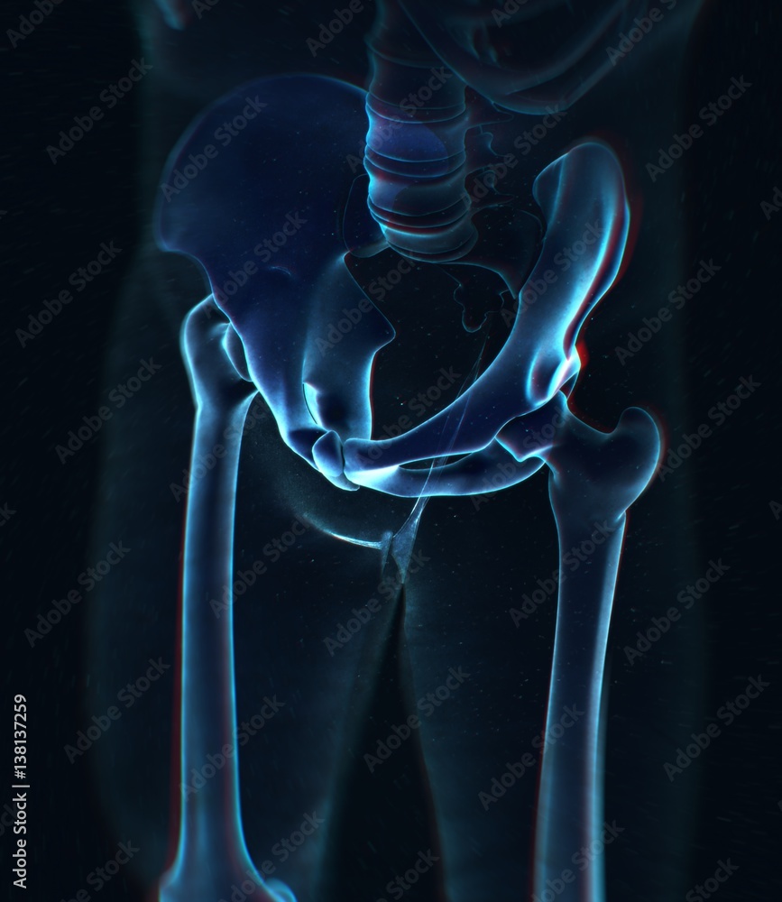 Ilium bone, hip bone or pelvis. Human anatomy, bone skeletal strucure ...