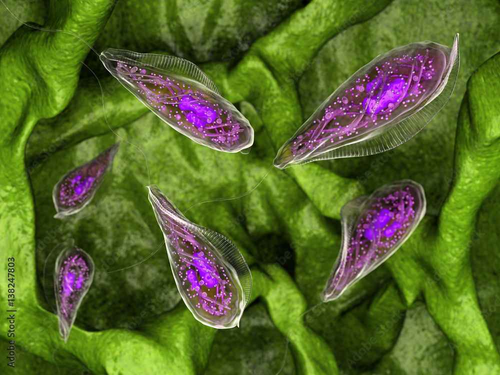 Protozoa flagellates. 3d image. Stock Illustration | Adobe Stock