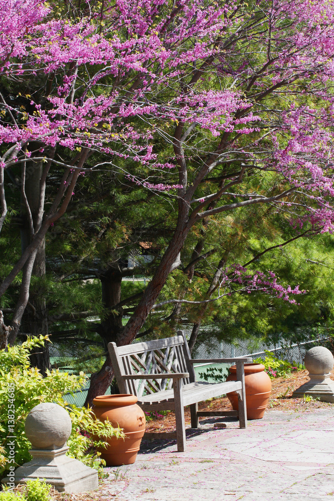 Spring background. Landscape with pink blooming tree and wooden garden ...