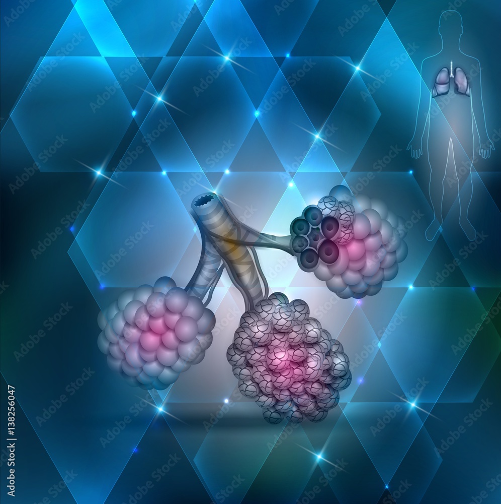 Alveoli anatomy, a part of the respiratory system on an abstract blue ...