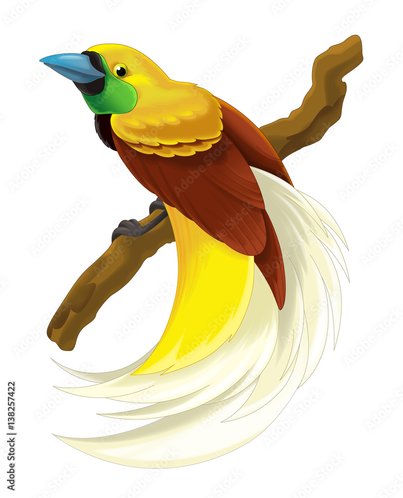 cartoon bird paradise bird illustration for children Stock Illustration ...