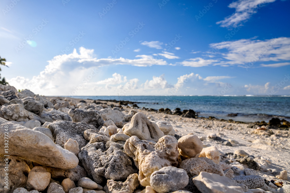 Close up shot of dead coral fragments lying on a beach on the remote ...