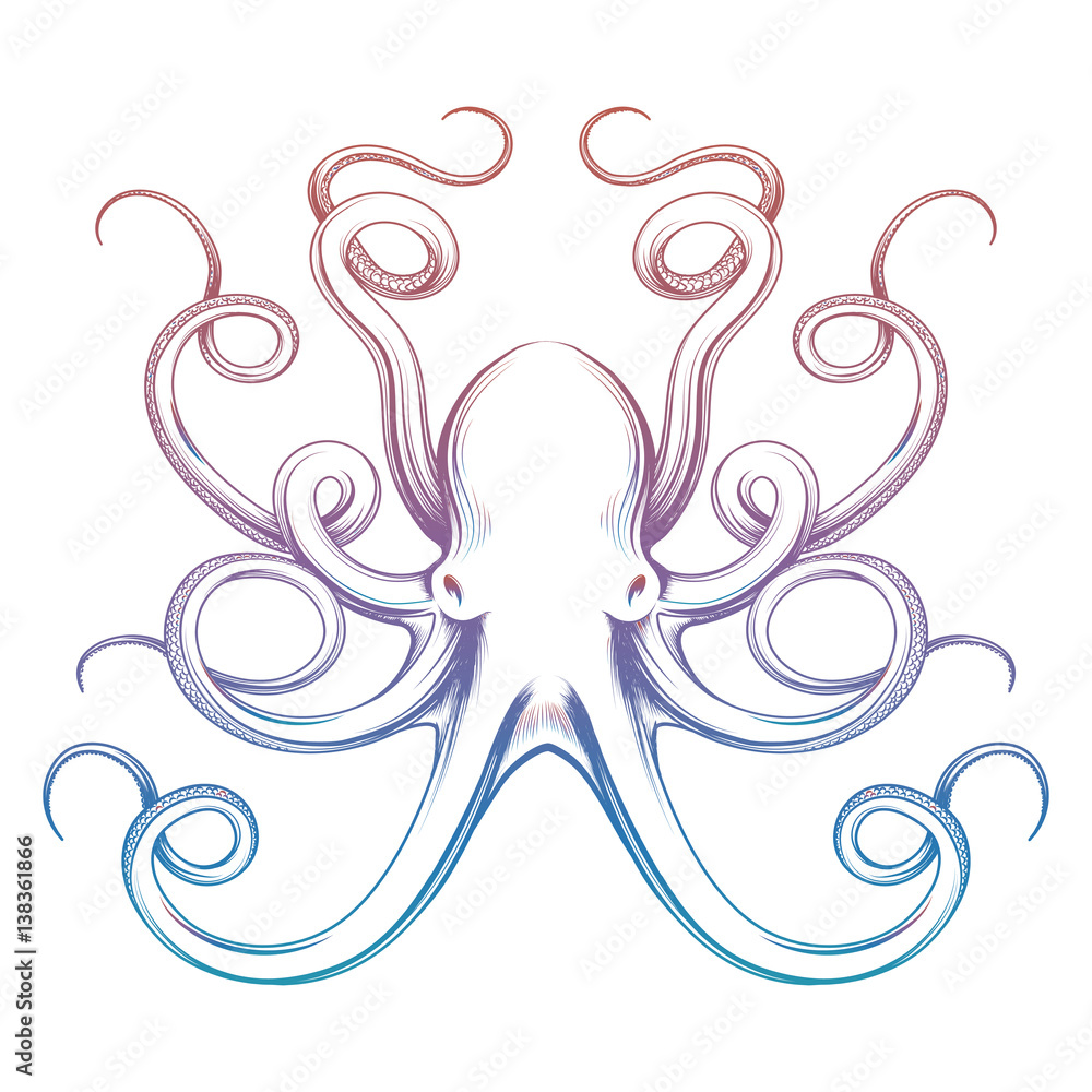 Colorful octopus sketch isolated on white background. Vector ...