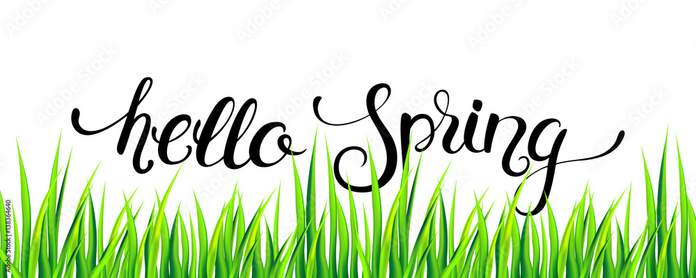 Hello spring banner with handwritten calligraphy lettering and grass ...