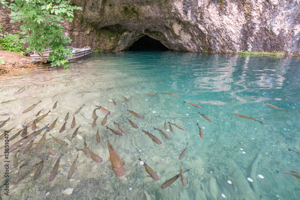 Schools of fish can be clearly seen in the crystal clear lakes in ...