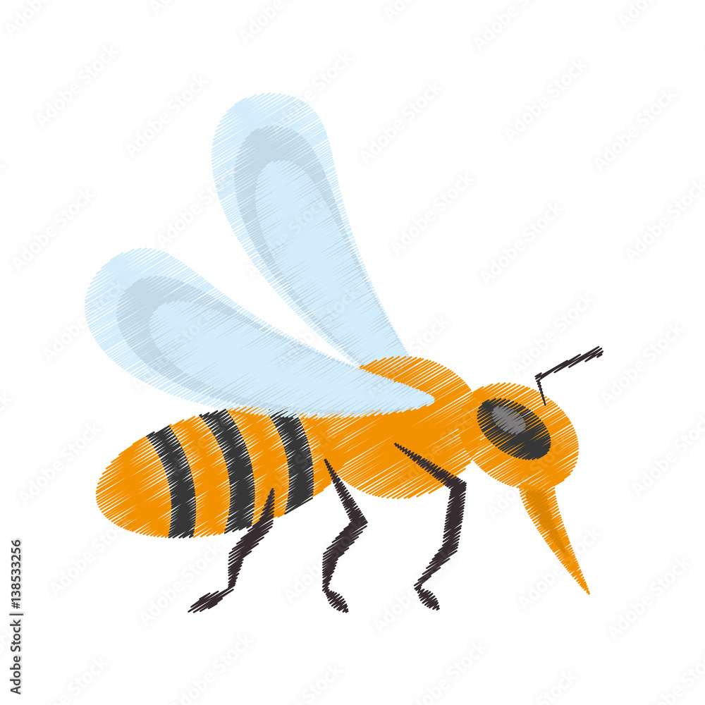 drawing bee insect flower pollen vector illustration eps 10 Stock ...