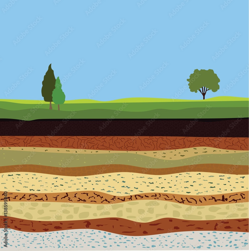 Soil Formation And Soil Horizons Stock Vector Adobe Stock soil-formation-and-soil-horizons-stock-vector-adobe-stock