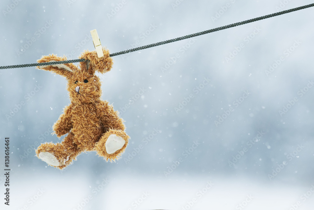 funny soft toy rabbit hanging from a rope wearing a clothespin on the ...