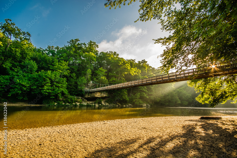 Suspension Bridge at Turkey Run State Park in Indiana Stock Photo ...