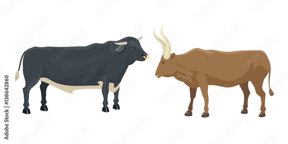 Bull and cow farm animal vector illustration. Stock Vector | Adobe Stock