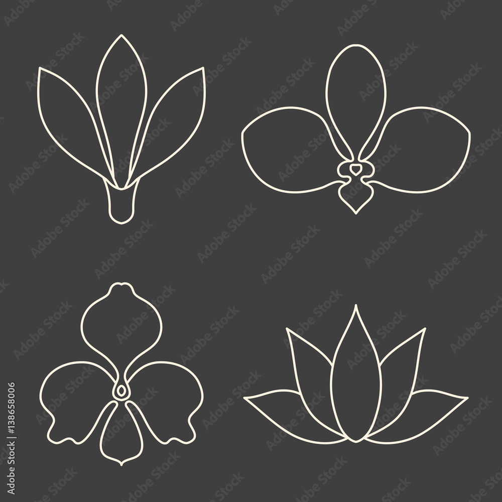 Set of flower line art vector on dark grey background Stock Vector ...