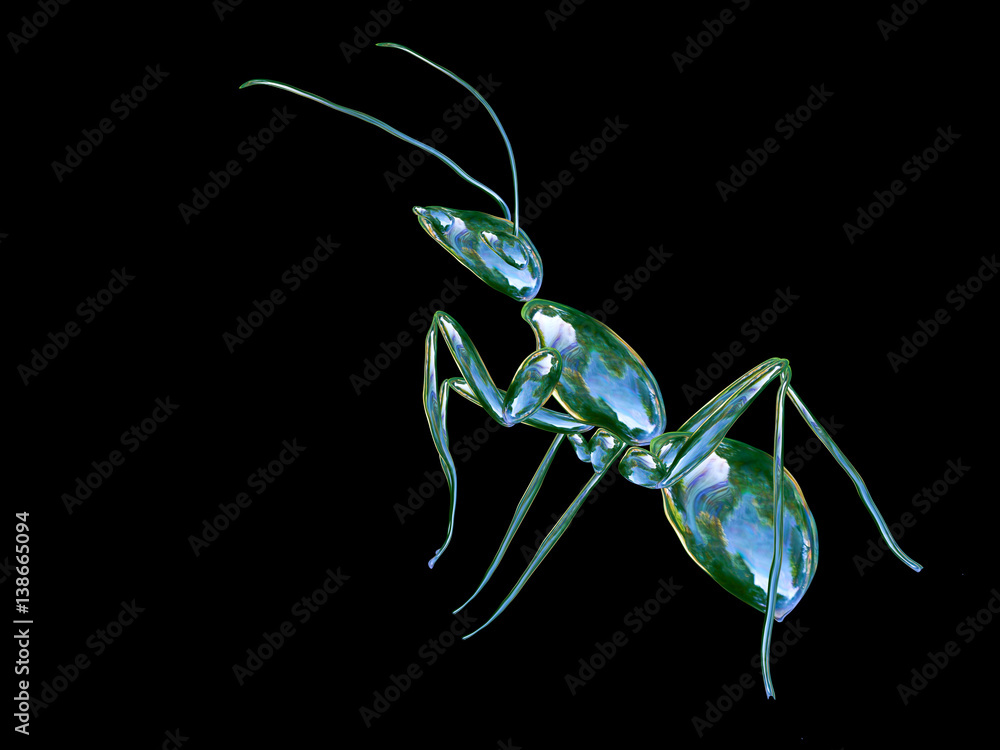 Beautiful glass ant on a black background Stock Illustration | Adobe Stock