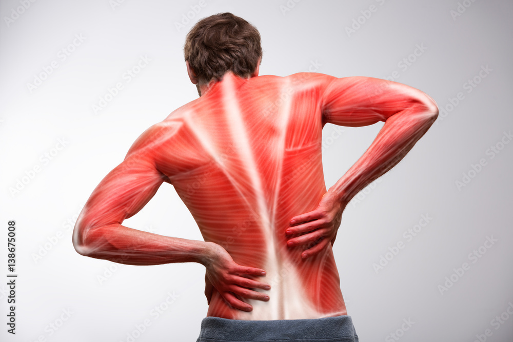 Back pain. Back view of athlete man torso with muscle structure. Stock ...